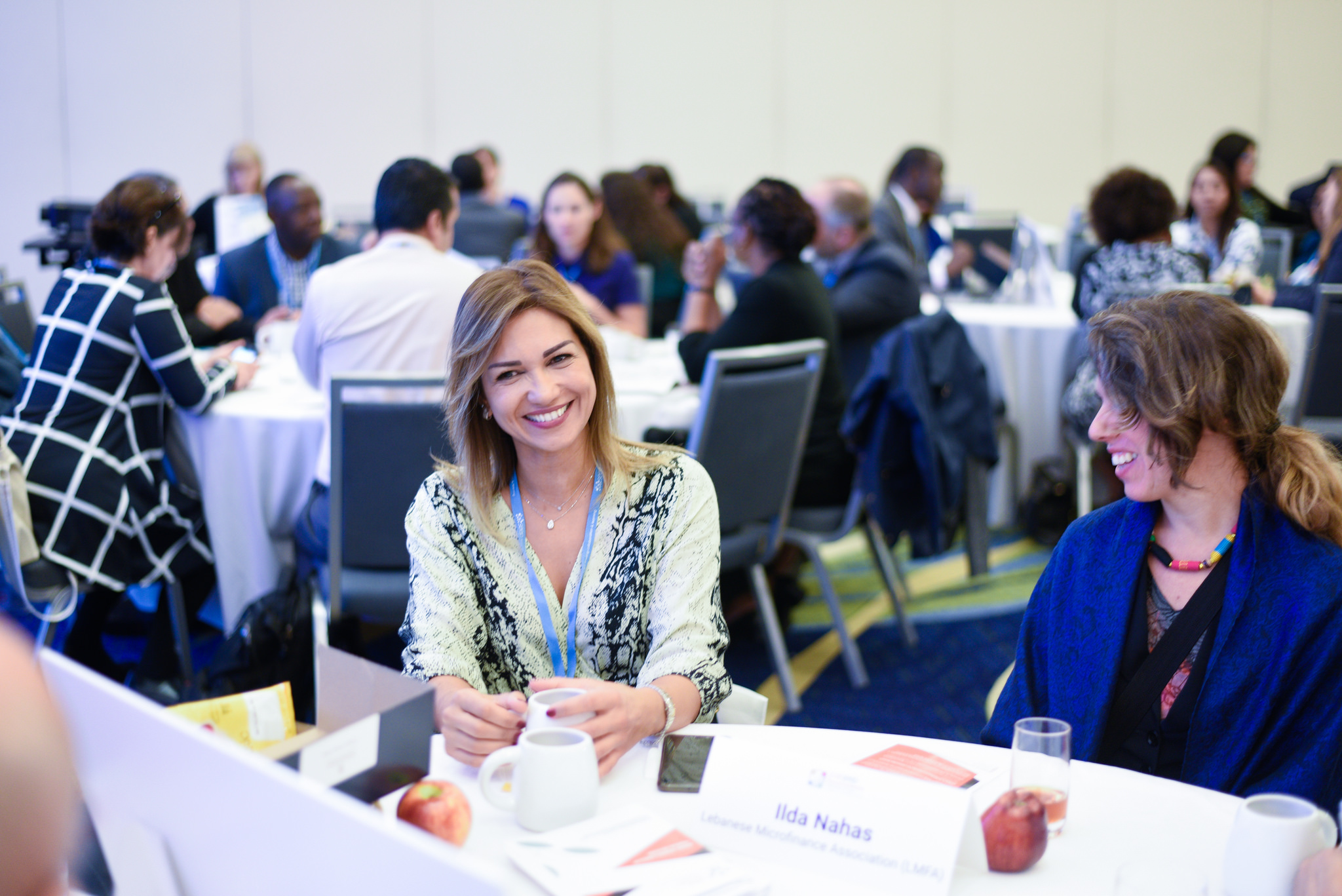 THE SEEP NETWORK ANNUAL CONFERENCE – LMFA Lebanon